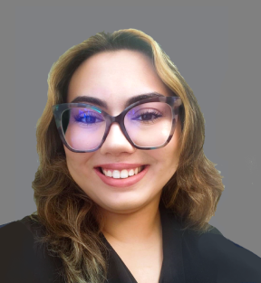 Strategic Technology Advisors